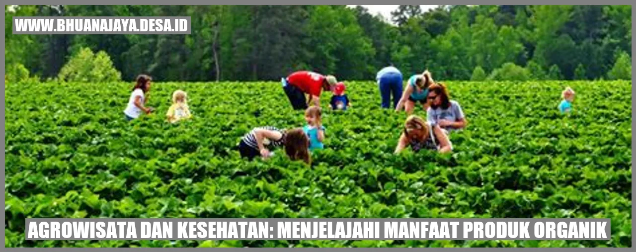 Agrowisata dan Kesehatan: Menjelajahi Manfaat Produk Organik – Desa ... Agrowisata dan Kesehatan: Menjelajahi Manfaat Produk Organik – Desa ...